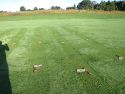 Pennsylvania Golf Course Study on Turf Quality and Color